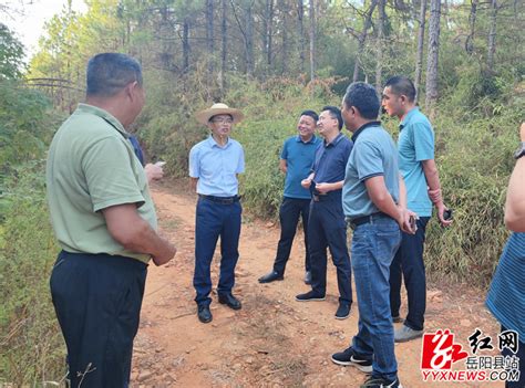 李德军到中洲乡开展巡林等工作 岳阳县政府网