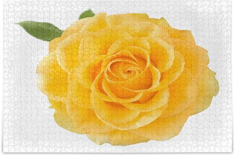Wellsay Beautiful Rose Yellow Jigsaw Puzzles For Adults 1000 Piece