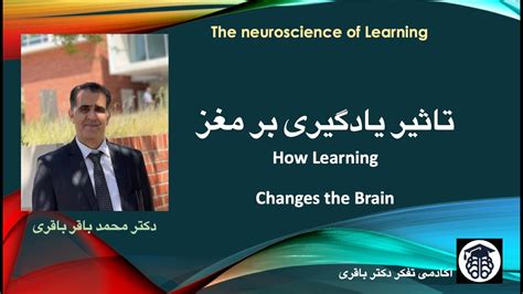 تاثير یادگیری بر مغز دکتر محمدباقر باقری Youtube