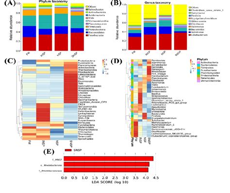 Figure 2 From Different Types Of Non Starch Polysaccharides Alter The Growth Intestinal Flora