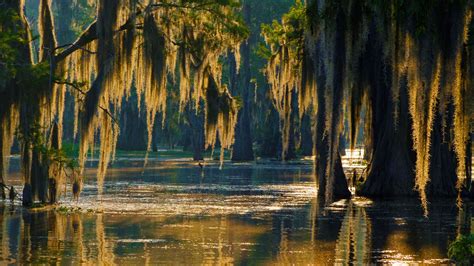 Louisiana Wallpapers 4k Hd Backgrounds On Wallpaperbat