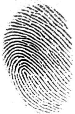 Learn Fingerprint Detection In Python CodeSpeedy