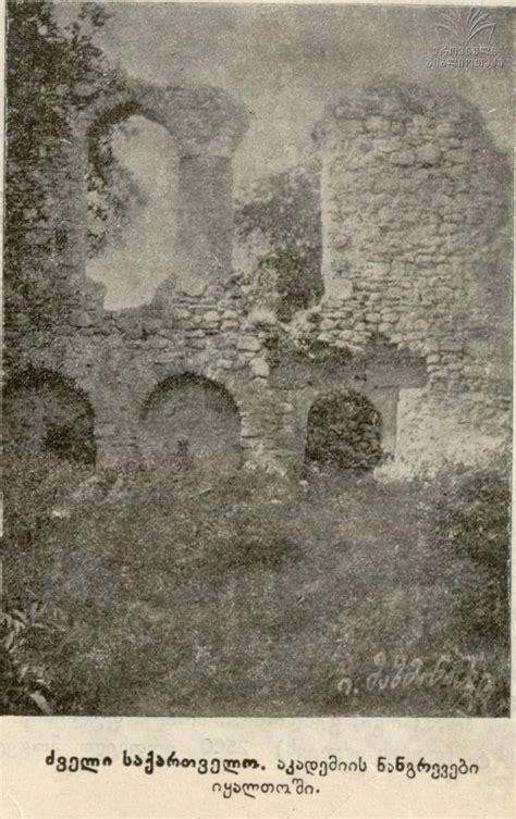 იყალთოს აკადემია ფოტორეპორტაჟი Knews Ge