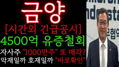 🔴 금양 시간외긴급공시 4500억 유상증자 철회 🔴 류회장의 속내가 뭘까 자사주 또 매각 출자전환 했으니 은행대출