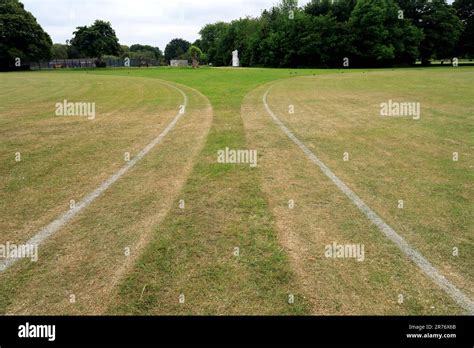 converging boundary lines between two cricket pitches making an