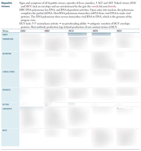 Hepatitis Chart Diagram Quizlet