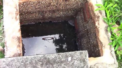 Septic Tank Full Of Mosquitoes Youtube