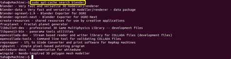 How To Use Apt Get To Install Programs In Ubuntu From The Terminal LinuxWays