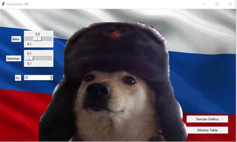 Github Mr Hockatt Sir Model Visualizer Covid Sir Model Visualizer With Modifiable