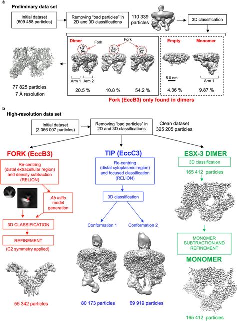 Image Processing And Classification Strategy For The Cryo Em Data Of
