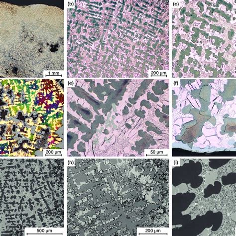A To I Area Of The Ingot Showing Dendritic Solidification A F Lom Download Scientific