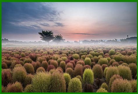 Code 16k Barcode Advantages And Disadvantages Code 16k Barcode Advantages And Disadvantages