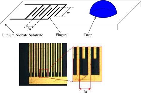 Figure 2 From Droplet Displacements And Oscillations Induced By Ultrasonic Surface Acoustic