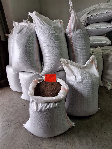 Samanta Lucerna Certificata Soiurile Sandra și Mihaela Covasna • Olx Ro