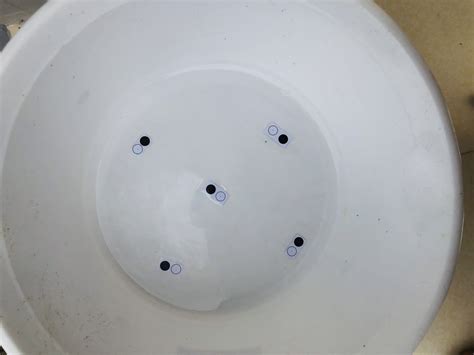 Hshrimp Object Detection Dataset V6 2023 06 08 8 55pm By Moinamoving