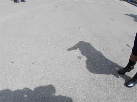 ჩემი ბლოგი April 2014