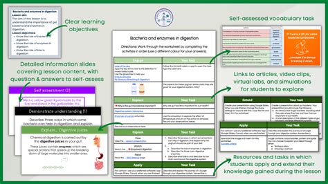 Bacteria And Enzymes In Digestion Distance Learning Teaching Resources