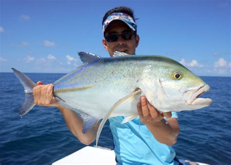 Are Bluefin Trevally Good To Eat
