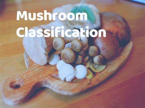 Machine Learning Project On Mushroom Classification Whether Its Edible Or Poisonous Part 2