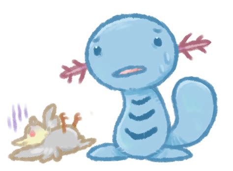 Daily Wooper