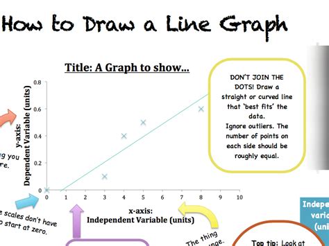 Diagram Of Biology Variables And Graphs Quizlet