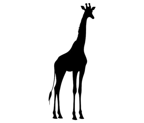 어린이들을 위한 지라프의 컬러링 페이지 색에 고립된 지라프 만화 프리미엄 Ai 생성 벡터