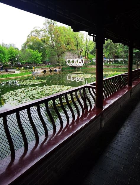 Chengdu Flower Fair Sichuan Province China Stock Image Image Of
