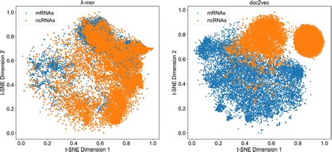 Visualization Of Two Dimensional Projections For K Mer And Doc2vec Download Scientific Diagram