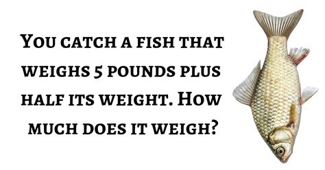 Solve This Tricky Problem And Your IQ Is 159