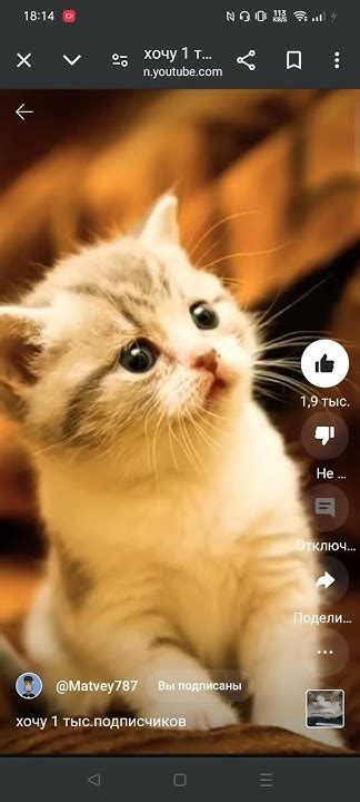 хачу 1тіс подпішикав Youtube