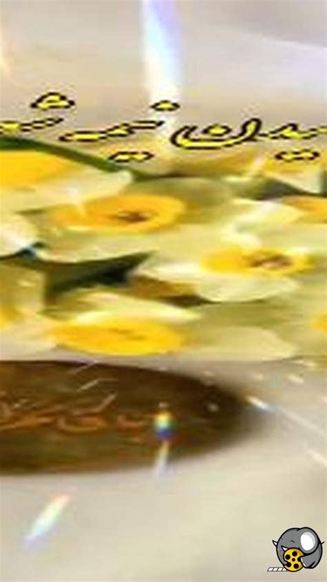 کلیپ تبریک ولادت امام زمان کلیپ نیمه شعبان مبارک فیلو