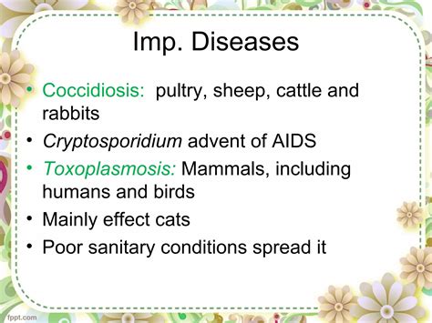 Classification Of Protozoa Ppt