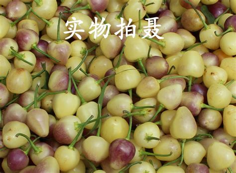 灯笼椒一斤大概多少个 灯笼椒500克多少元 一斤尖椒大约有多少 大山谷图库