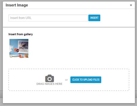 Internet Explorer Delphi Tbrowser Not Rendering Image Uploader For Wysiwyg Editor Properly