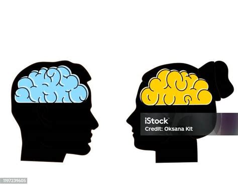 남자와 여자는 두뇌 실루엣 아이콘 남녀 평등 문제 일러스트와 머리 개념에 대한 스톡 벡터 아트 및 기타 이미지 개념 개념과