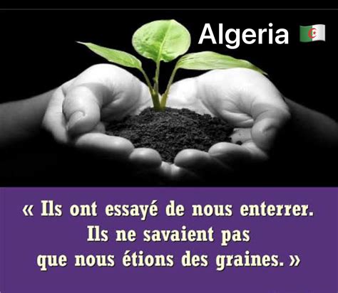 Merzouk Ait Bessai Posted On Linkedin