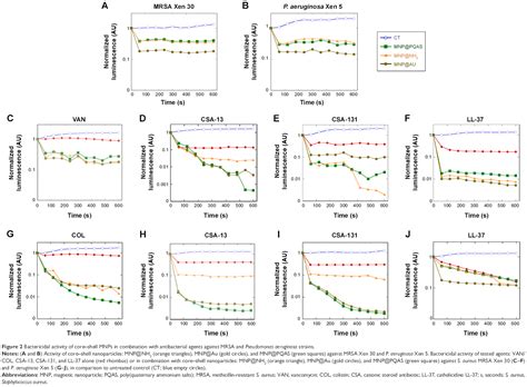 Core Shell Magnetic Nanoparticles Display Synergistic Antibacter Ijn