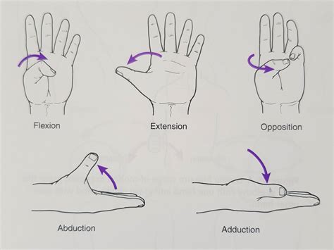 Range of Motion Exercises ករធវលហតកមរតចលន vechaksastra