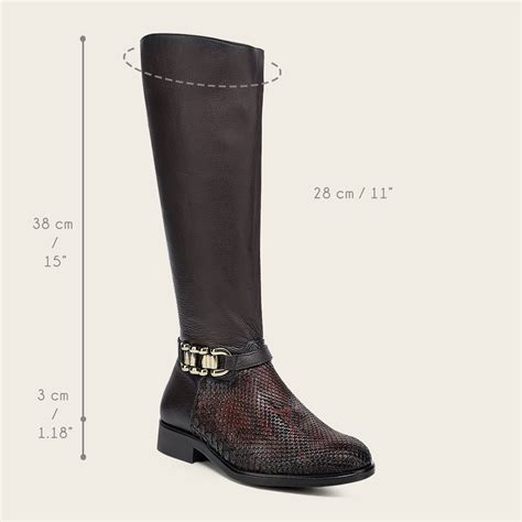 Botas Y Botines De Vestir Para Dama Para Looks Formales Cuadra México