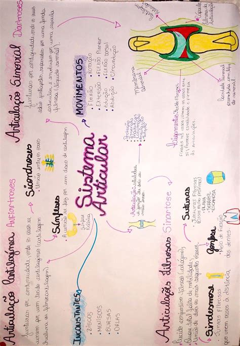 Mapa Mental Anatomia Sistema Articular Artofit