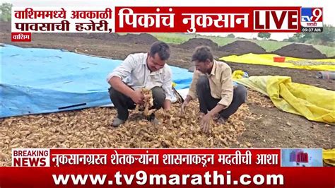 Unseasonal Rain राज्यात अवकाळीच्या सरी कोणत्या जिल्ह्यात यलो अलर्ट Youtube