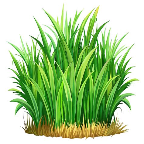 Premium Vector Grass 2d Vector Illustration