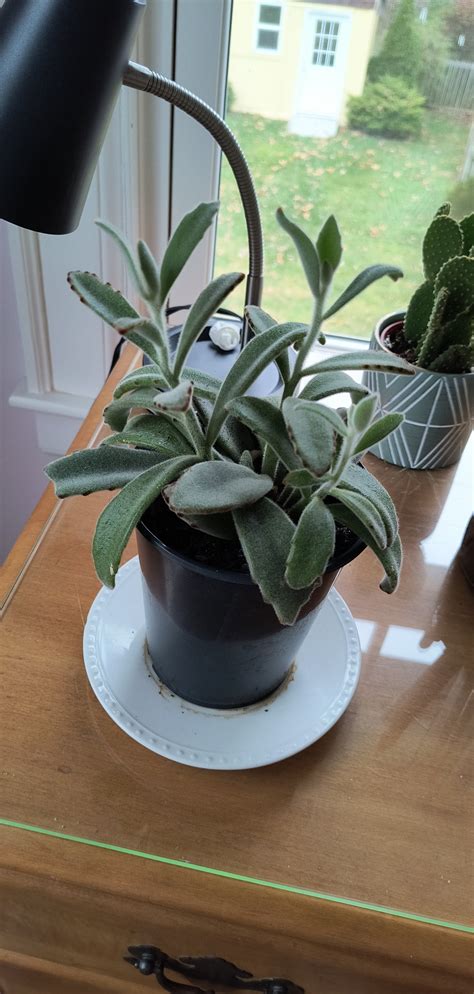 Need Help For Propagation Check Captions For My Confused Explanations