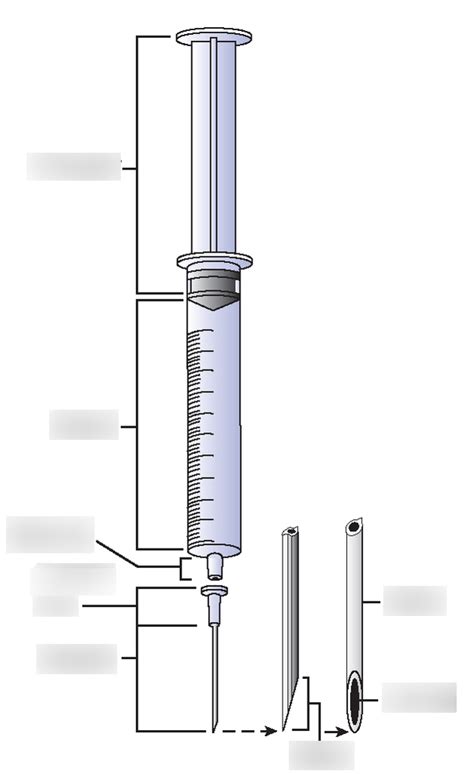 Needle Diagram Diagram Quizlet
