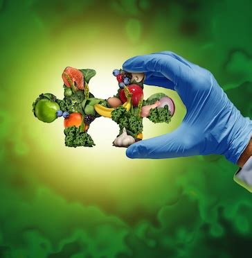 Garden Of Earthly Delights Dreaming Of Genetically Engineered Sextech Future Of Sex