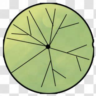 Tree Architecture Site Plan Drawing Landscape Design Transparent PNG