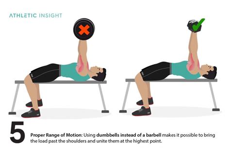 Is Dumbbell Chest Press Better Than Barbell At Garry Richmond Blog