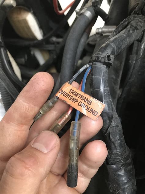 Mercury Tilt And Trim Gauge Wiring Diagram Wiring Digital And Schematic