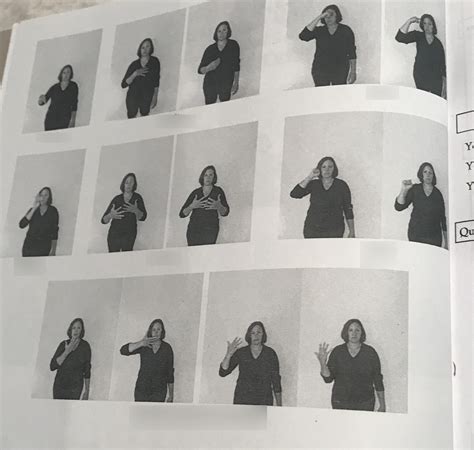 Colors Part 2 Diagram Quizlet