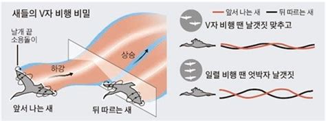 안전의식혁명56부 집단내 이기주의 링겔만 효과